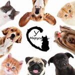 U Marusi (ulitsa imeni Tolbukhina No:122/4, Prikubanskiy City administrative district, mikrorayon Slavyanskiy), petshop  Krasnodar'dan