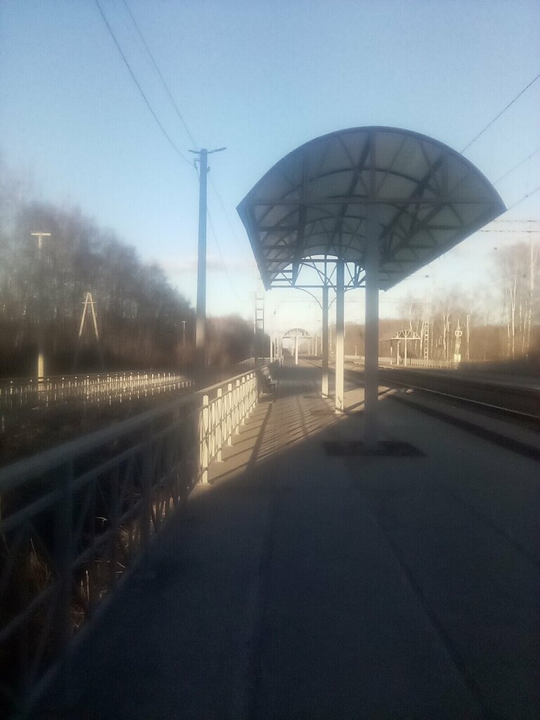 Tren istasyonu остановочный пункт 40 километр, Moskova ve Moskovskaya oblastı, foto