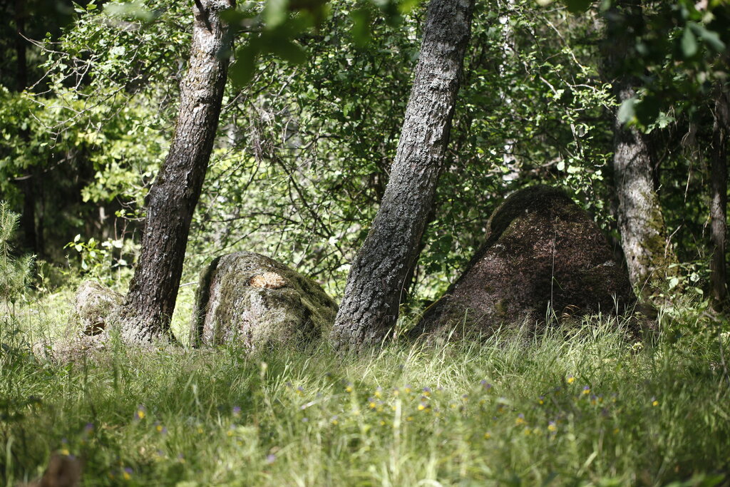 Doğa Камни-кумы, Kalujskaya oblastı, foto