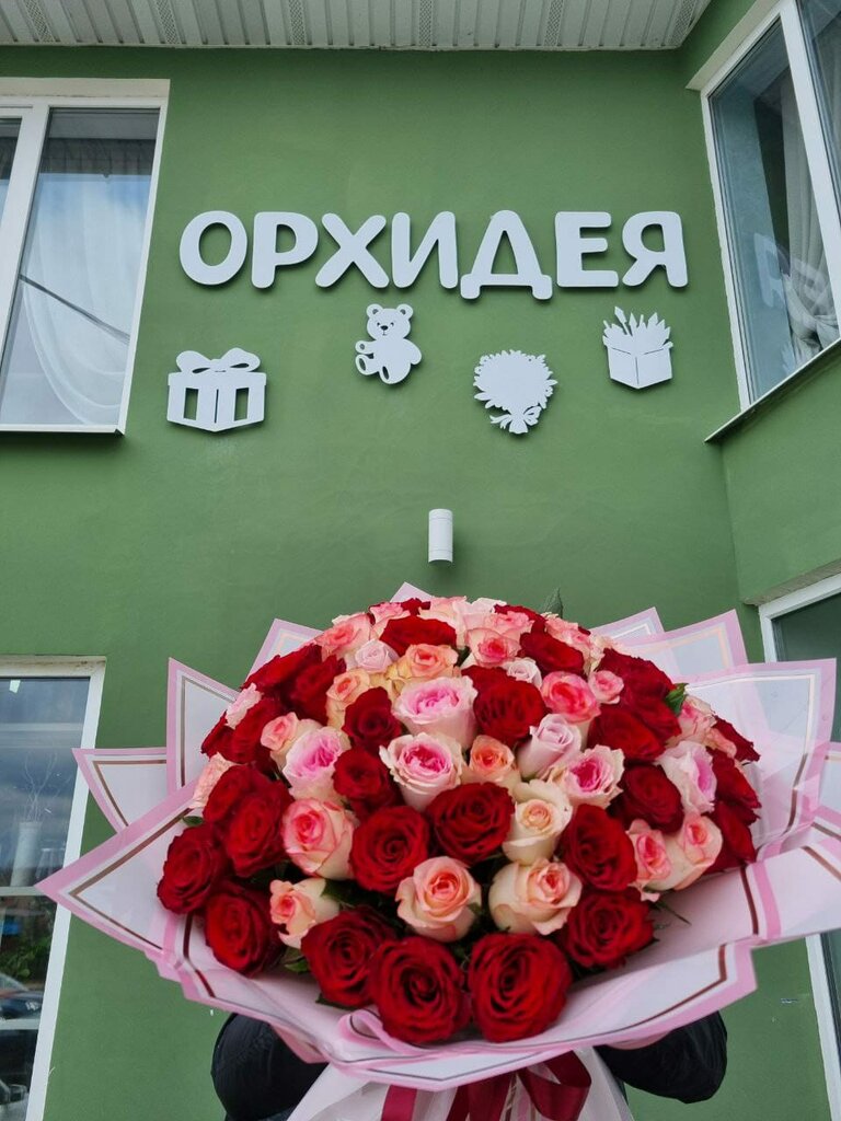 Çiçekçiler Orkhideia cvety, Tulskaya oblastı, foto