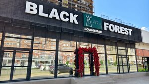 Black Forest (Moskovskaya Street No:121, Krasnodar), nargile kafeler  Krasnodar'dan