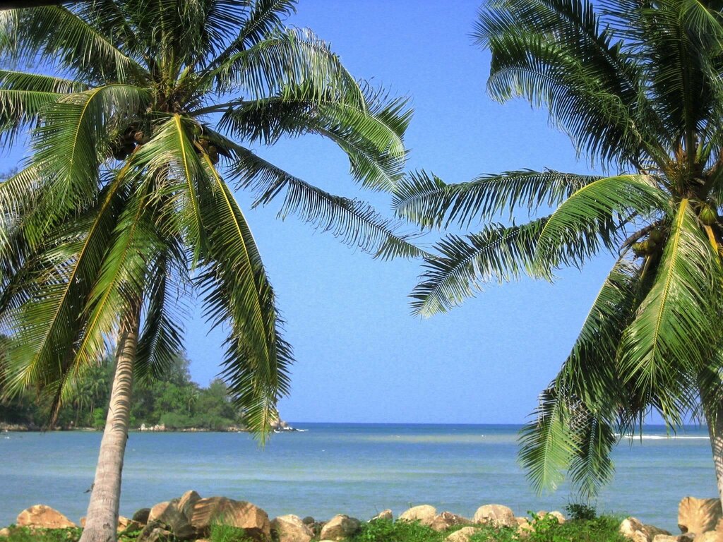 Otel Wattana Resort, , foto