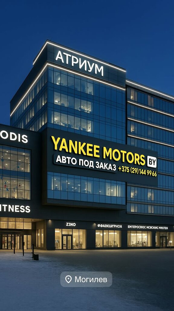 Otomobil açık artırması Янки Моторс, Moguilev, foto