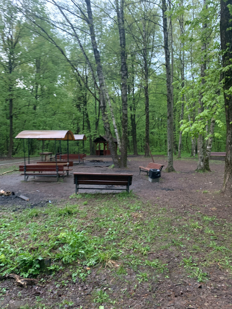 Piknik alanı Место для пикника, Moskova, foto