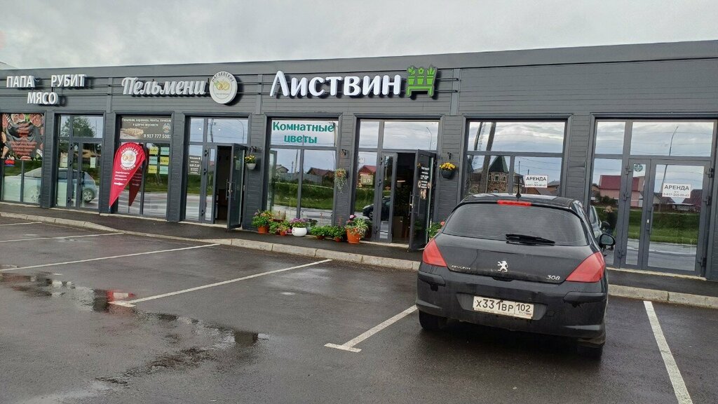 Çiçekçiler Листвин, Başkurdistan, foto