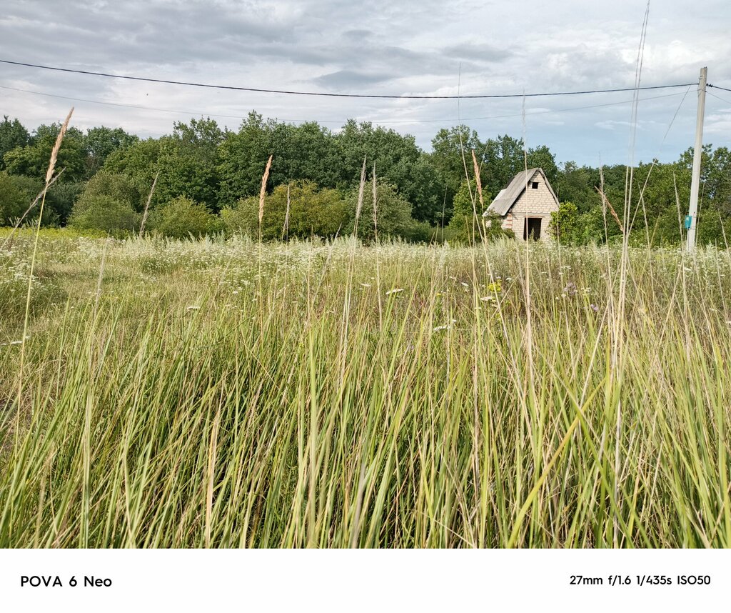 Orman урочище Соболево, Belgorodskaya oblastı, foto