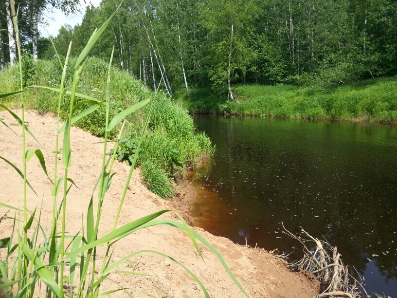 Arazi dizisi ДНП Заповедное, Saint‑Petersburg ve Leningradskaya oblastı, foto