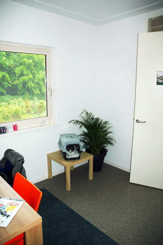 Veteriner klinikleri Dennenoord Dierenkliniek, Dünya, foto