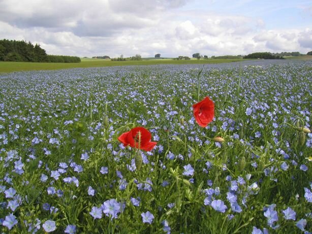 i̇nşaat firmaları Nijland Aannemersbedrijf, Gelderland, foto