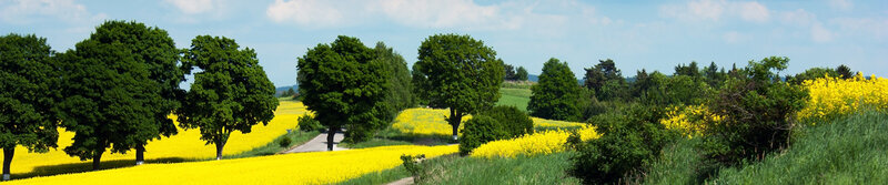 Psikologlar Psychologenpraktijk Rooseboom, Overijssel, foto