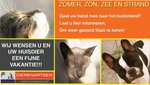 Dierenartsen Vroomshoop (Azielaan No:8, Vroomshoop), veteriner klinikleri  Overijssel'den
