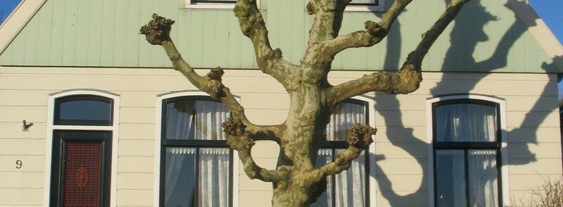 Evden eve nakliye Have & Goed Huisdiensten, Friesland, foto