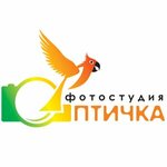 Ptichka (Bolshaya Sovetskaya ulitsa No:12/1), profesyonel fotoğraf stüdyosu  Smolensk'ten