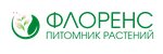 Florence - plant nursery (Petukhova Street No:4к2, Novosibirsk), fidan yetiştiriciliği  Novosibirsk'ten