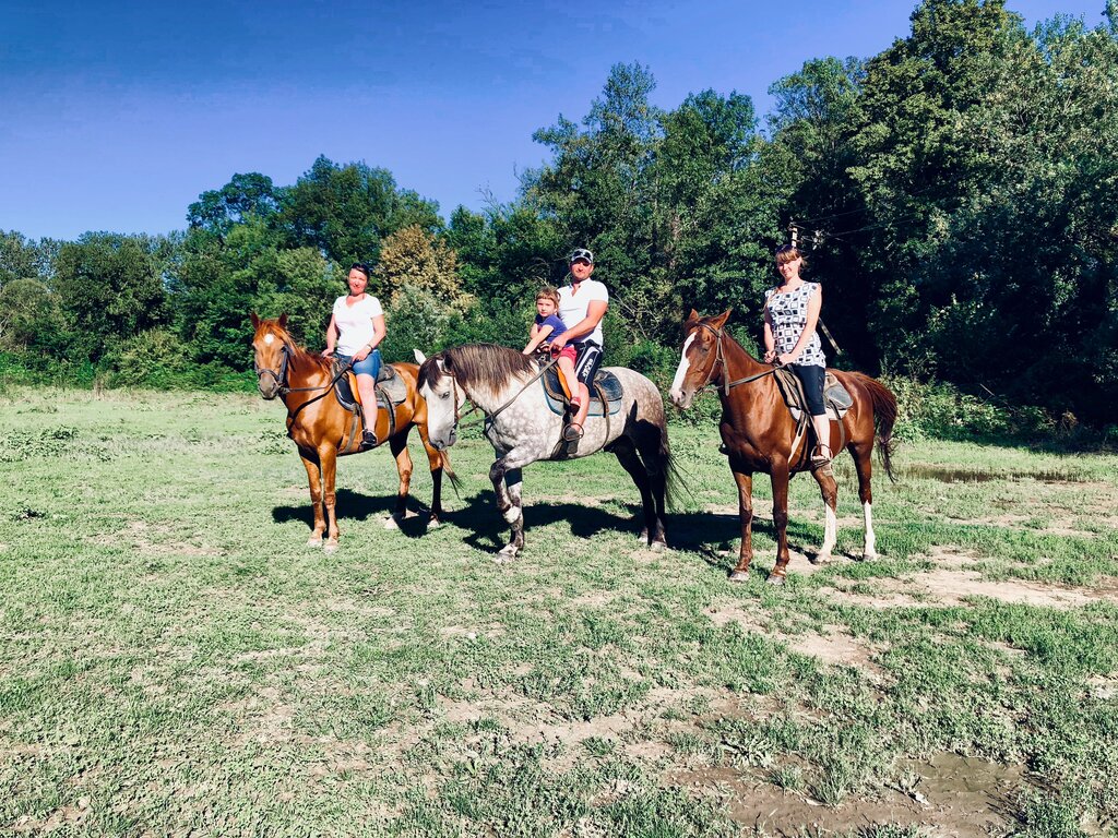 At ve binicilik kulüpleri Horse Rides Amazons, Krasnodarski krayı, foto