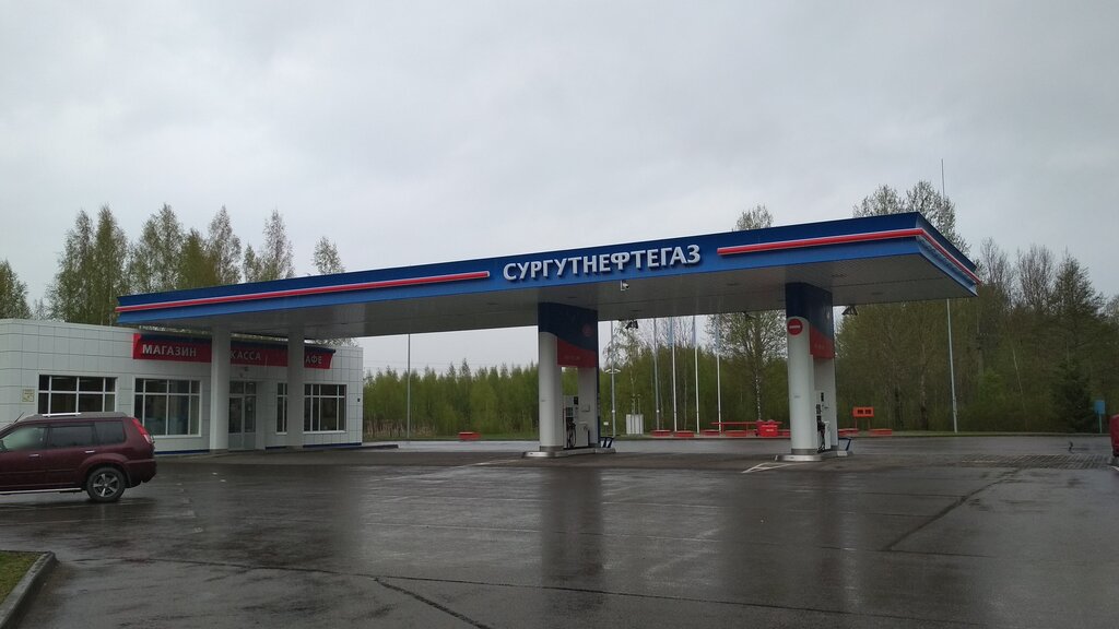 Benzin istasyonu Surgutneftegaz Pskovnefteprodukt, Pskovskaya oblastı, foto