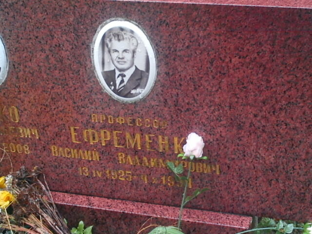 Anıt, heykel Профессор В.В. Ефременко, Minskaya oblastı, foto