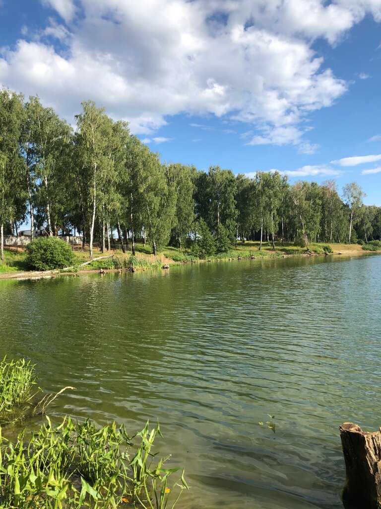 Yazlık yerleşim Лобаново, Moskova ve Moskovskaya oblastı, foto