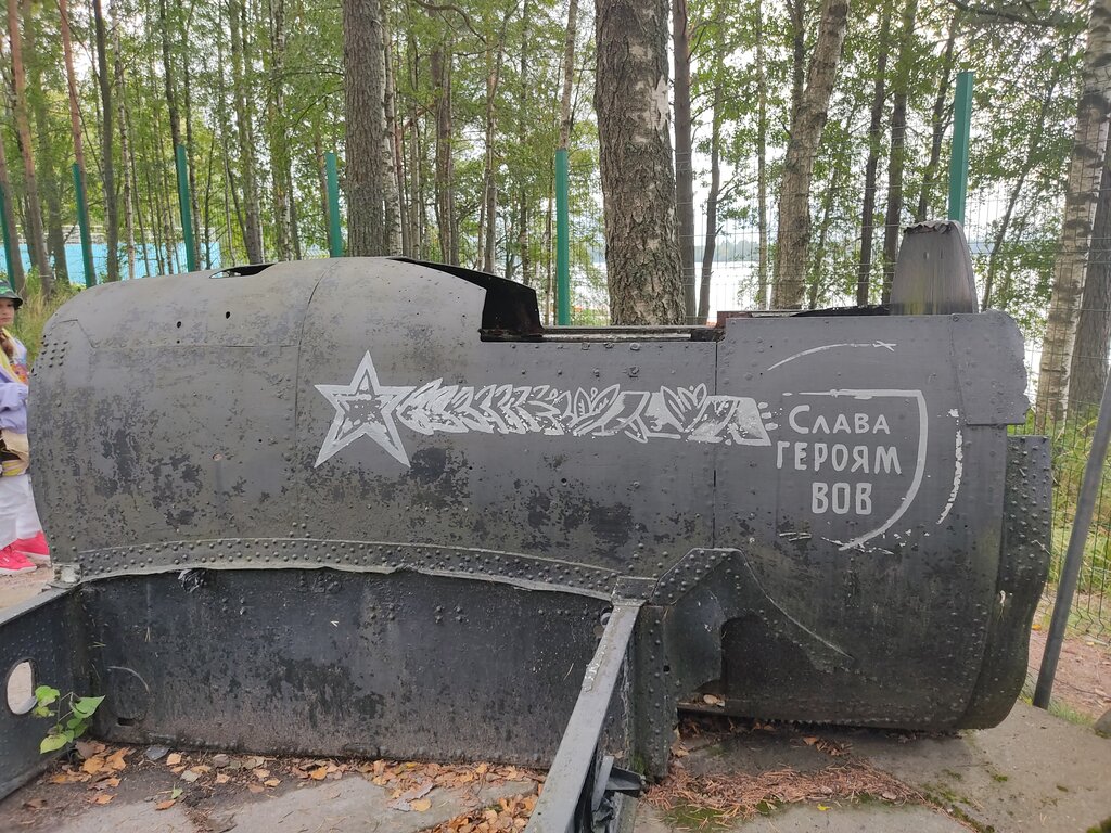 Turistik yerler The crashed Yak-3, Saint‑Petersburg ve Leningradskaya oblastı, foto