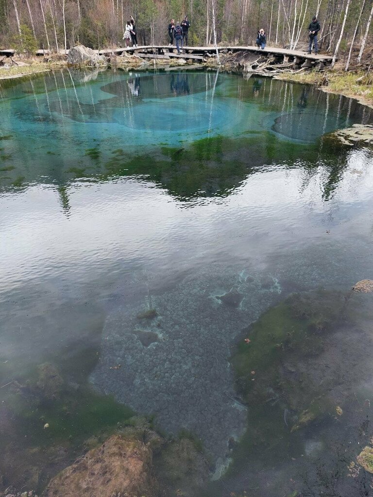 Tatil köyleri Шам Алтая, Altay Cumhuriyeti, foto