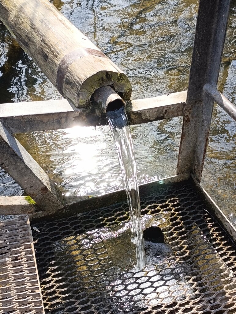Pınar, çay Spring, stream, Perm, foto