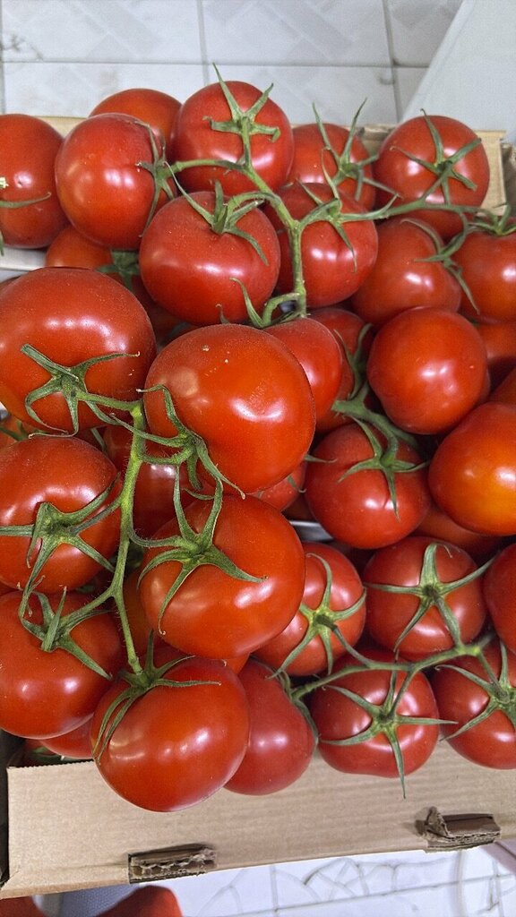 Grocery Dihan, Çimkent (Şımkent), foto