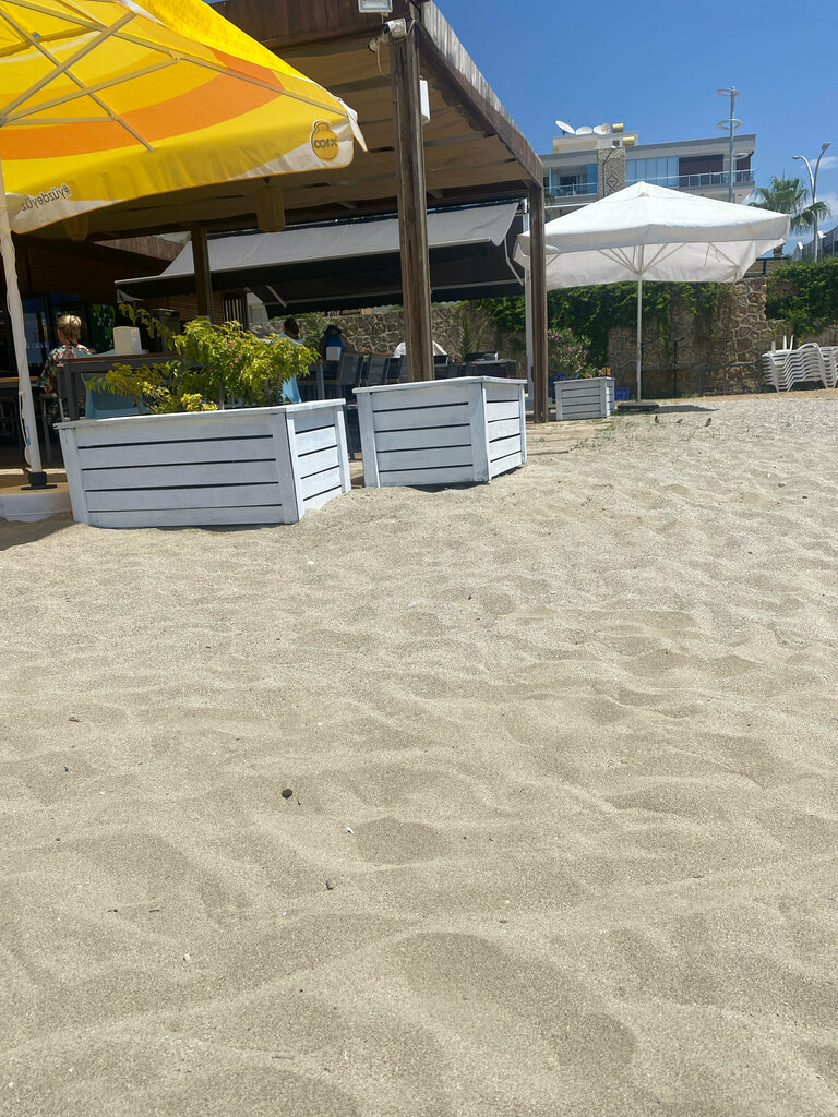 Restoran Oba Beach, Alanya, foto