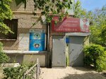 Кедр (V.I. Lenina Avenue No:48/2, Volgograd), sivil toplum kuruluşları  Volgograd'dan