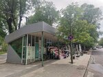 Flower Market (Chisinau, strada Mitropolit Gavriil Bănulescu-Bodoni), çiçekçiler  Kişinev'den