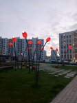 Тюльпаны (Autonomous Republic of Crimea, Simferopol, prospekt Aleksandra Suvorova), konut blokları  Simferopol'dan (Akmescit'ten)