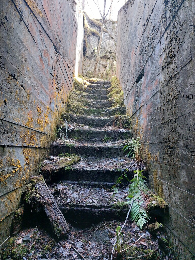 Turistik yerler Финские военные укрепления, Karelya, foto