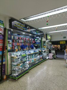 Tus Soluciones Móviles (Antioquia, Municipio de Medellín, La Candelaria, Calle 52, 49-34), cep telefonu aksesuarları  Medellin'den