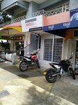 Coordinadora Jurídica (Antioquia, Municipio de Medellín, Laureles Estadio, Calle 48, 65-90), lojistik firmaları  Medellin'den