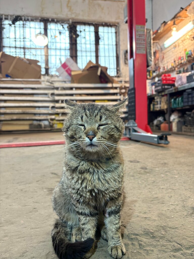 Otomobil servisi Автосервис, Saint‑Petersburg, foto