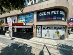Özüm pet kuaför (İstanbul, Büyükçekmece, Mimaroba Mah., Şehit Yzb. Teyyareci Ahmet Cemal Sok.), evcil hayvan kuaförleri  İstanbul'dan
