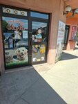 Charlie (Fruškogorska ulica No:1A, naselje Veternik, naselye Veternik), petshop  Güney Backa İlçesi'nden