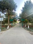 School No. 11 (Alisher Navoiy koʻchasi No:19A, Abdulla Avloniy mahalla fuqarolar yigʻini, Termez), ortaokul  Termez'den