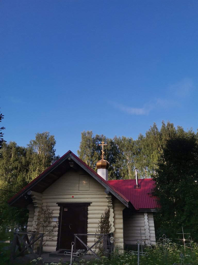 Ortodoks kiliseleri Часовня Иоанна Предтечи, Karelya, foto