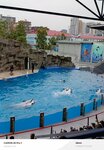 Batumi Dolphinarium (Shota Rustaveli Avenue No:49), akvaryumlar  Batum'dan