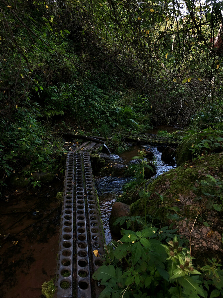 Pınar, çay Spring, stream, Saint‑Petersburg ve Leningradskaya oblastı, foto