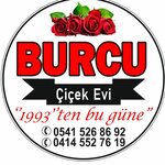 Siverek Burcu Çiçek Evi (Şanlıurfa, Siverek, Camikebir Mah., Profesör Doktor Nedim Çobanoğlu Cad., 3E), çiçekçiler  Siverek'ten