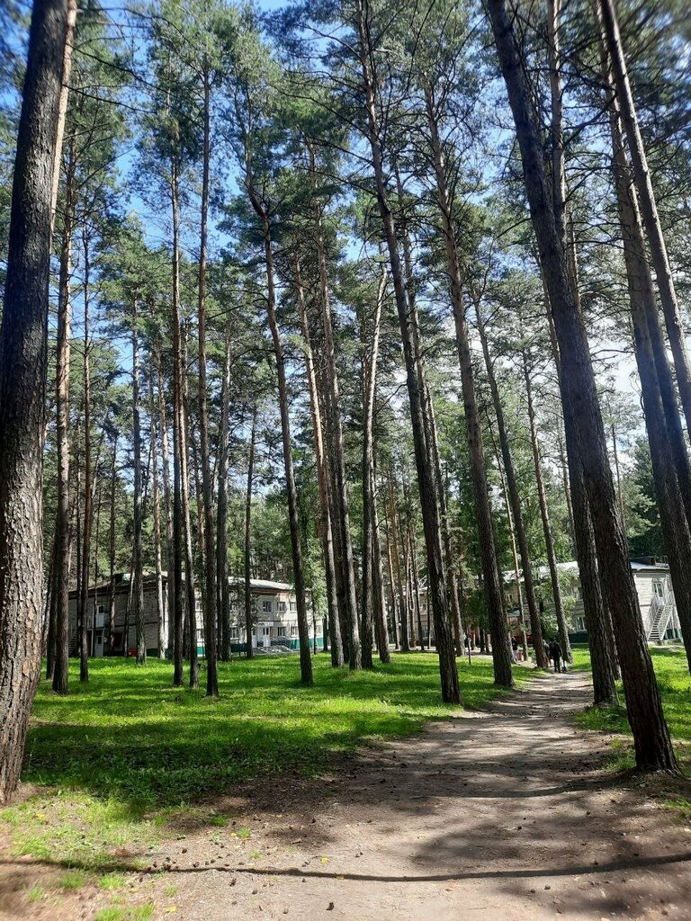Yaz kampı Detsky Ozdorovitelny tsentr im. V. Dubinina, Berdsk, foto
