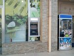 Bank of georgia (Georgi Leonidze Street No:8), atm'ler  Batum'dan