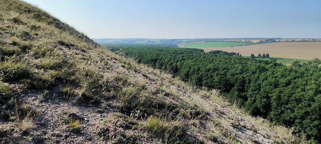 Turistik yerler Городище Крутцы, Voronejskaya oblastı, foto