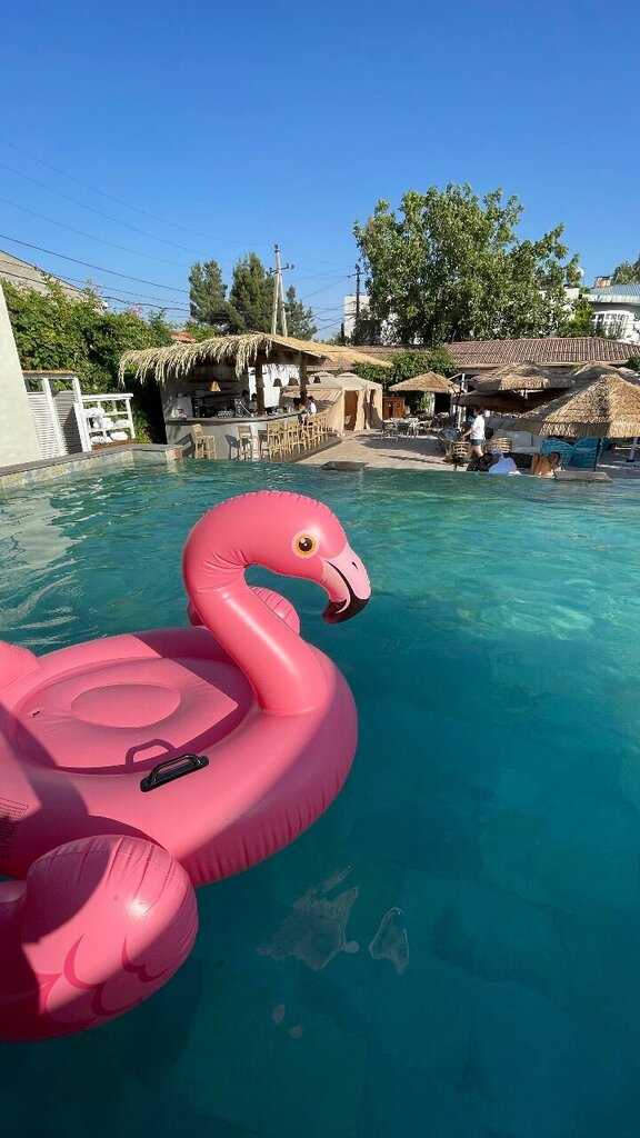 Restoran Contessa Villa, Taşkent eyaleti, foto