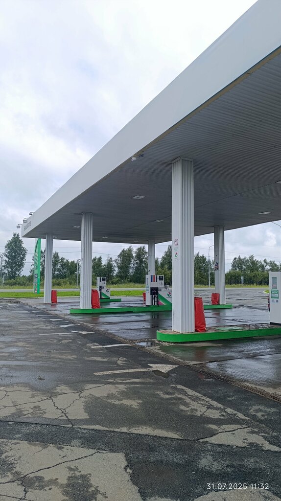 Benzin istasyonu Башнефть, Kurganskaya oblastı, foto