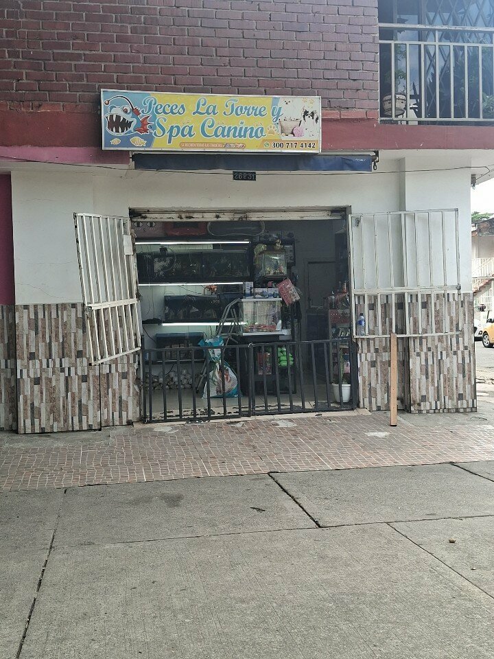 Akvaryumlar Peces la torre y SPA canino, Cali, foto