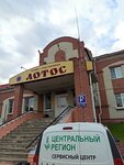 Lotos (No:71, derevnya Khryastovo), kafe  Vladimirskaya oblastından