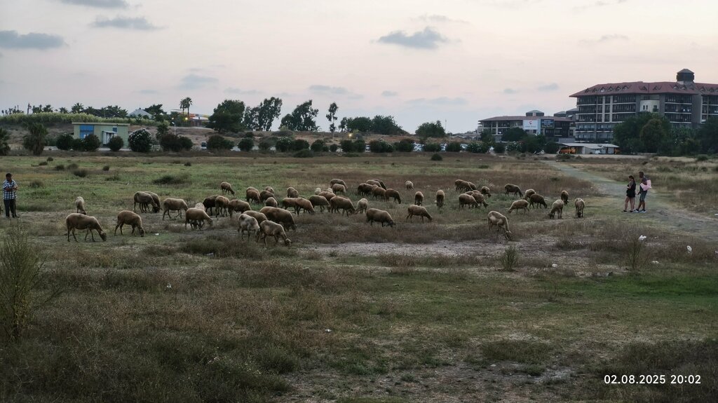 Plaj Sultan Beach, Manavgat, foto