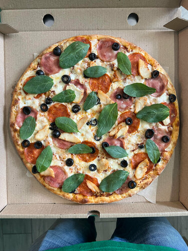 Pizzacılar Koala, Lipetskaya oblastı, foto